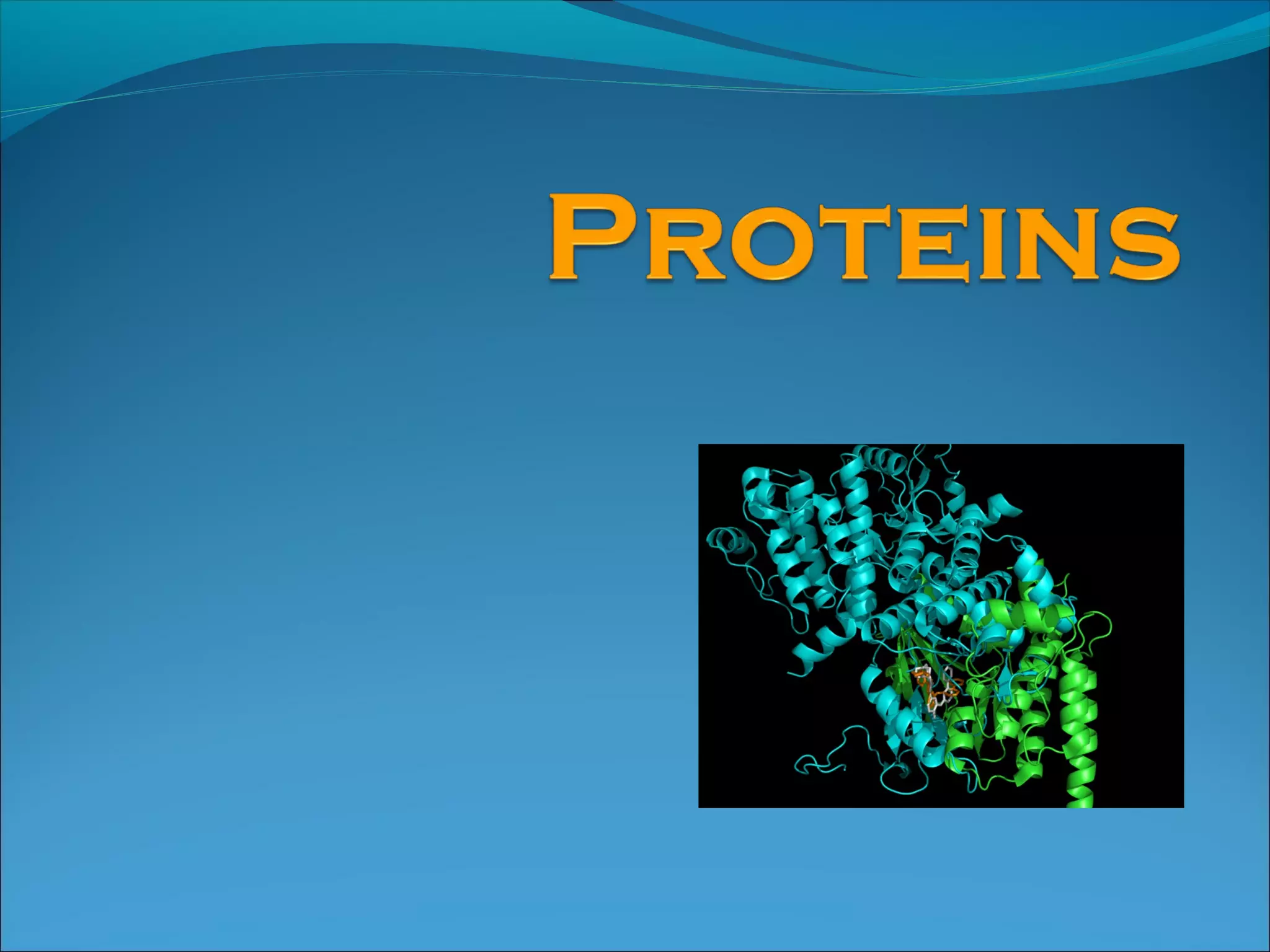 Proteins. | PPT