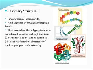 Proteins. | PPT