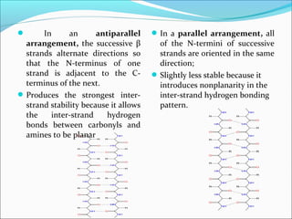 Proteins. | PPT