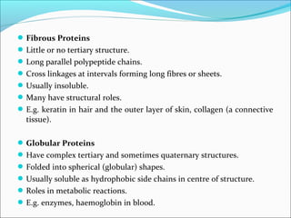 Proteins. | PPT