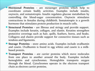 Proteins. | PPT