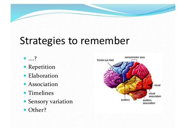 how the brain processes information memory retention and learning tra…