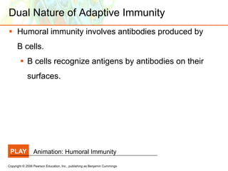 Adaptive-Immunity.ppt adaptive type of immunity | PPT