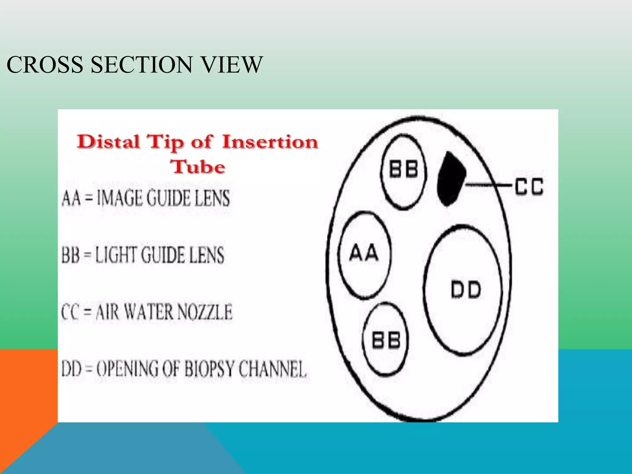ENDOSCOPY | PPT