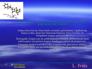 117_4.froga2s.ppt