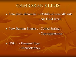 117742790 intususepsi-ppt | PPT