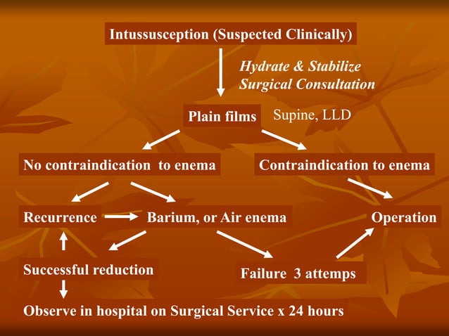 117742790 intususepsi-ppt | PPT