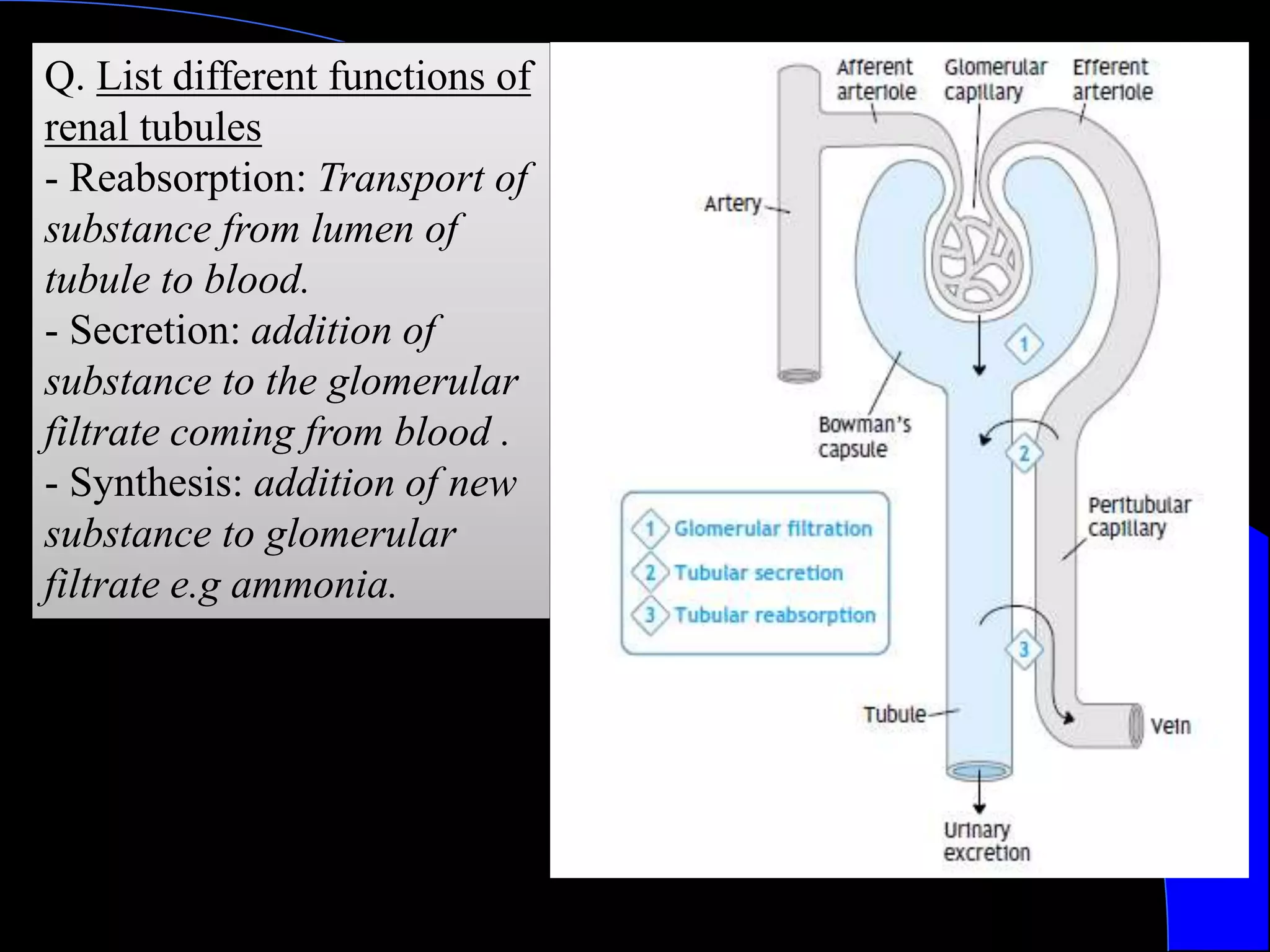 Tubular-functions-of-kidney | PPTX