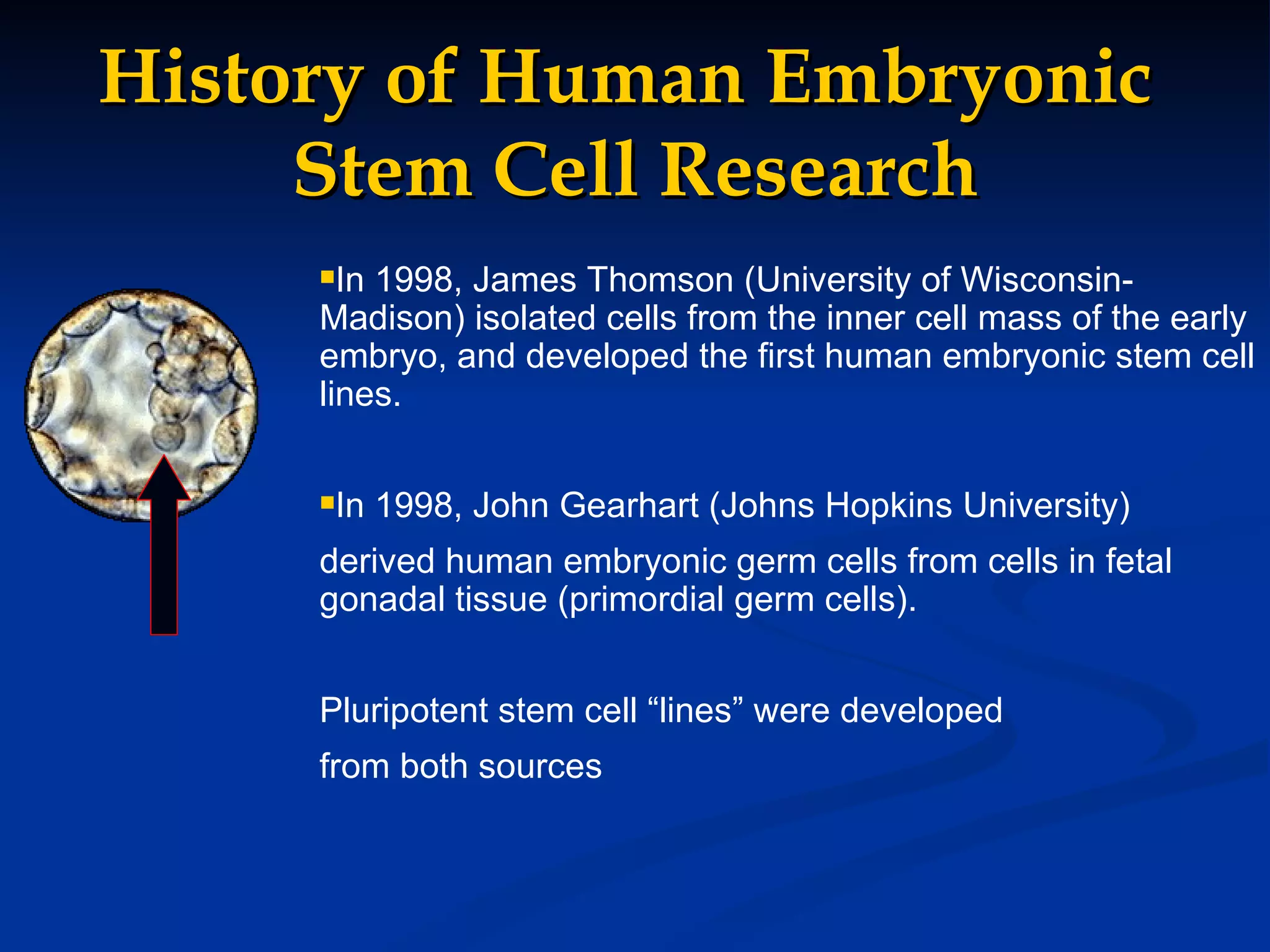 Stem cell ethics 06 | PPT