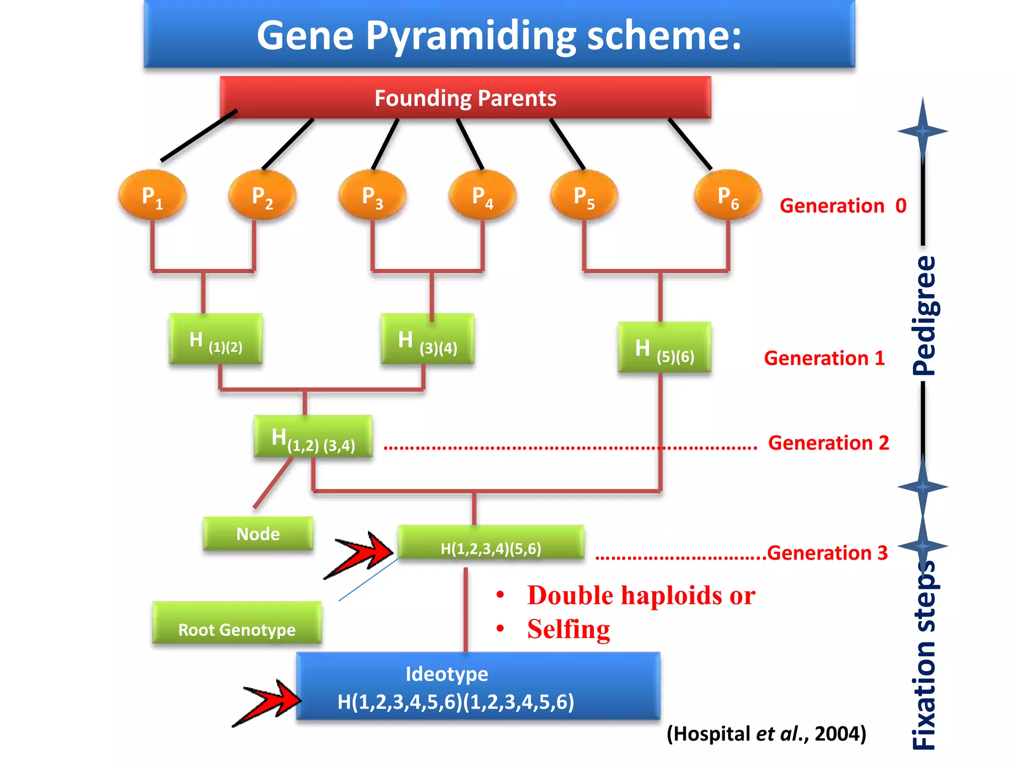 119. Gene Pyramiding A Strategy for Durable Crop Protection in ...