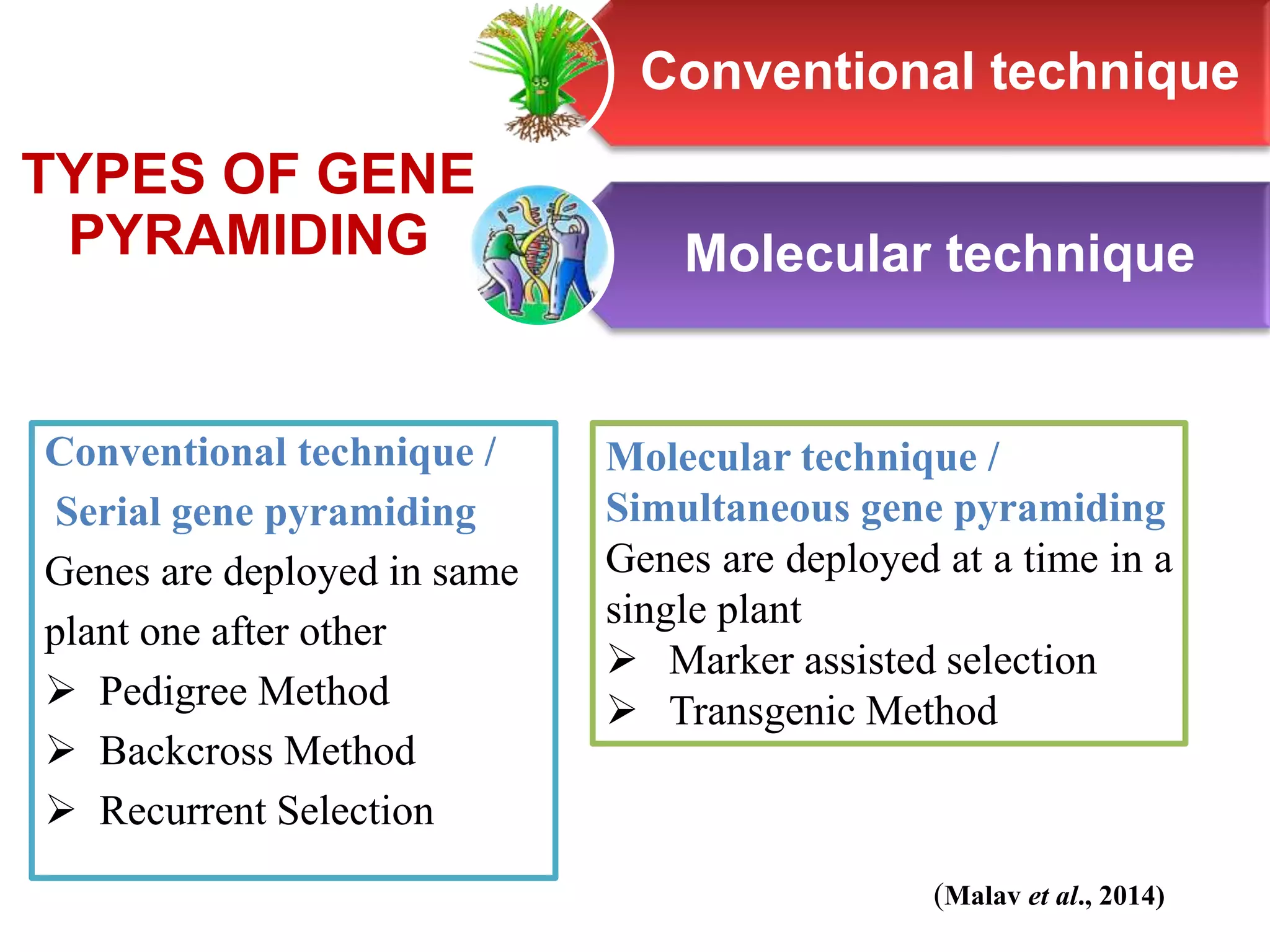 119. Gene Pyramiding A Strategy for Durable Crop Protection in ...