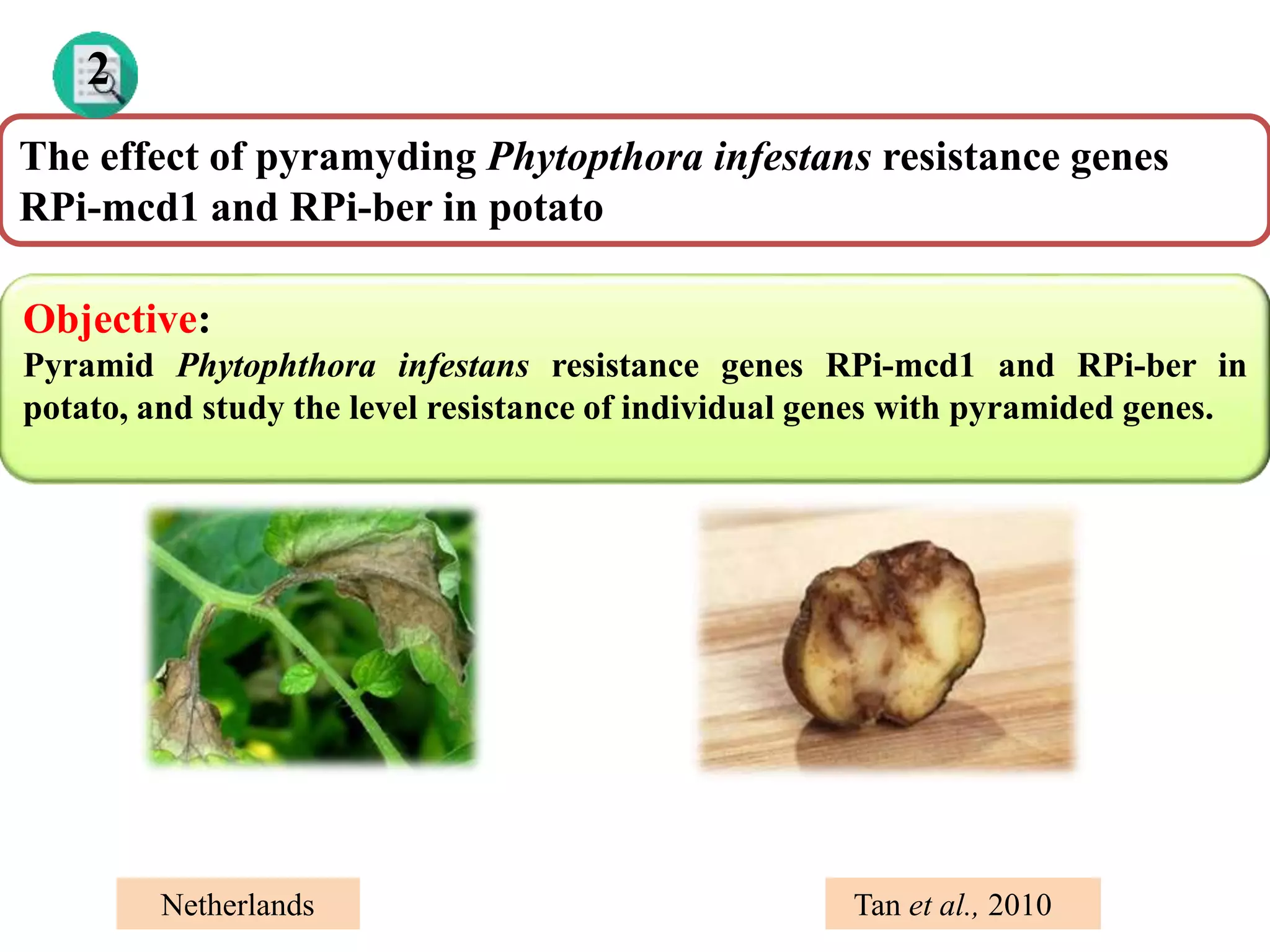 119. Gene Pyramiding A Strategy for Durable Crop Protection in ...