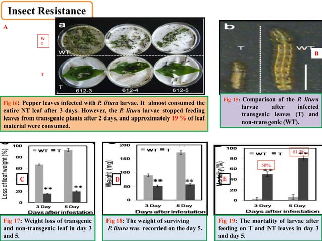 119. Gene Pyramiding A Strategy for Durable Crop Protection in ...