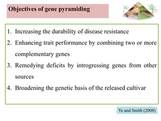 119. Gene Pyramiding A Strategy for Durable Crop Protection in ...
