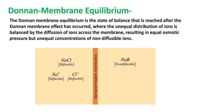 Donnan membane effect.pptx | Chemistry | Science