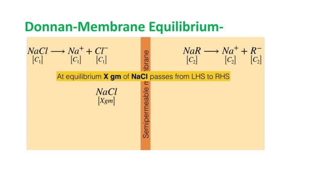 Donnan membane effect.pptx | Chemistry | Science