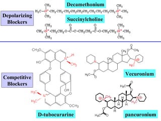 n-mBloc | PPT | Chemistry | Science