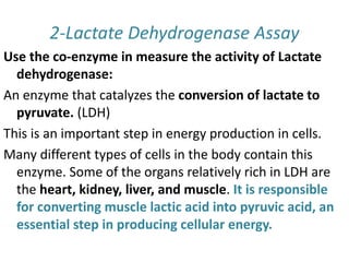 presentation of enzymes assay for research | PPT