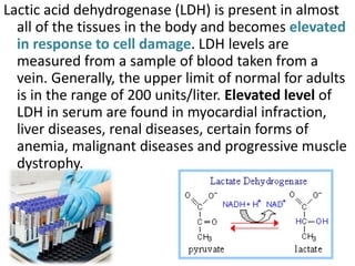 presentation of enzymes assay for research | PPT