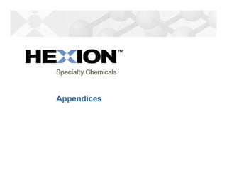 Hexion Q307lEarningsCall | PPT