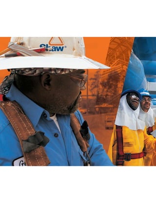 SHAWGROUP_06ar | PDF