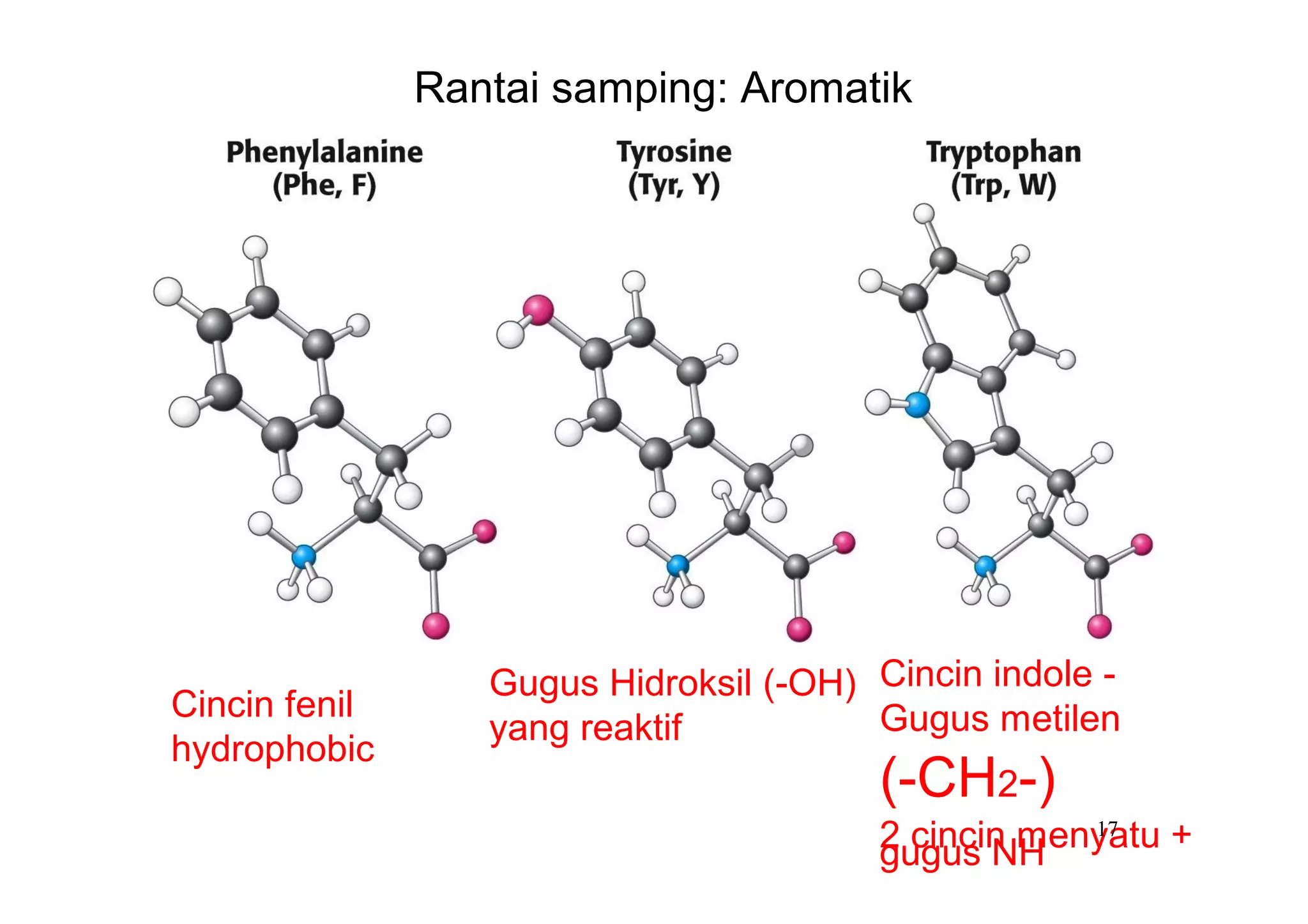 Struktur Dan Fungsi Protein | PPT