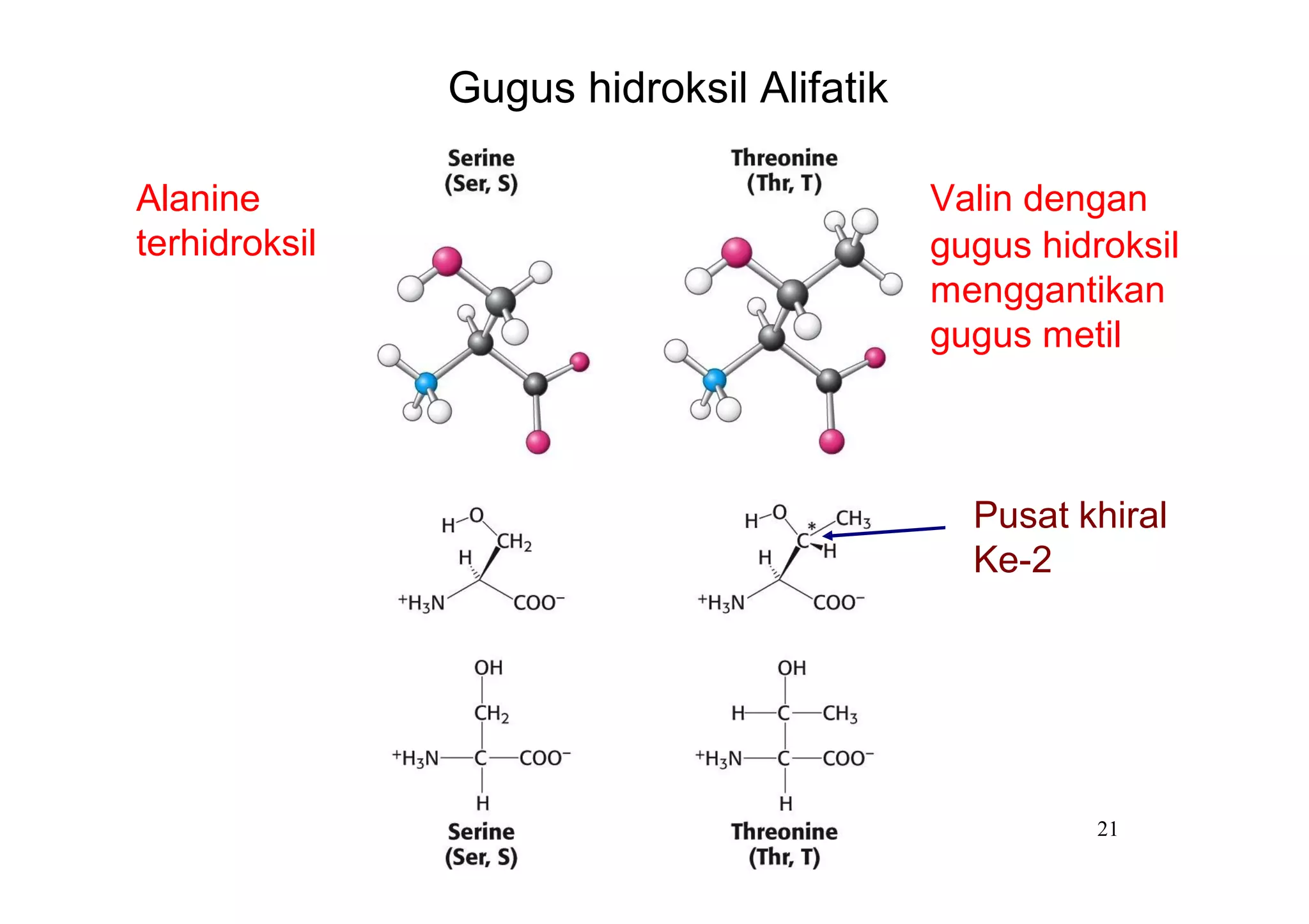 Struktur Dan Fungsi Protein | PPT