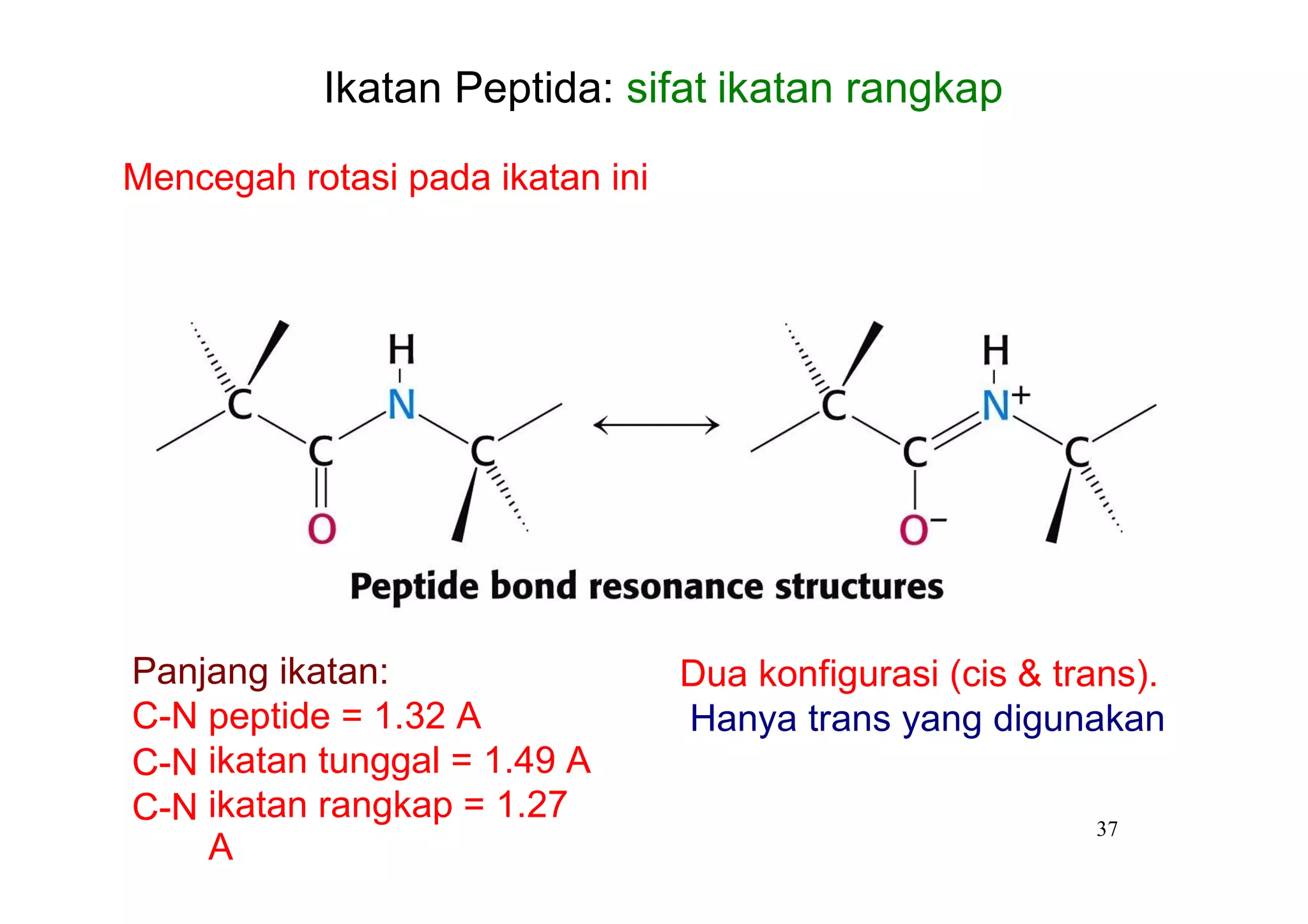 Struktur Dan Fungsi Protein | PPT