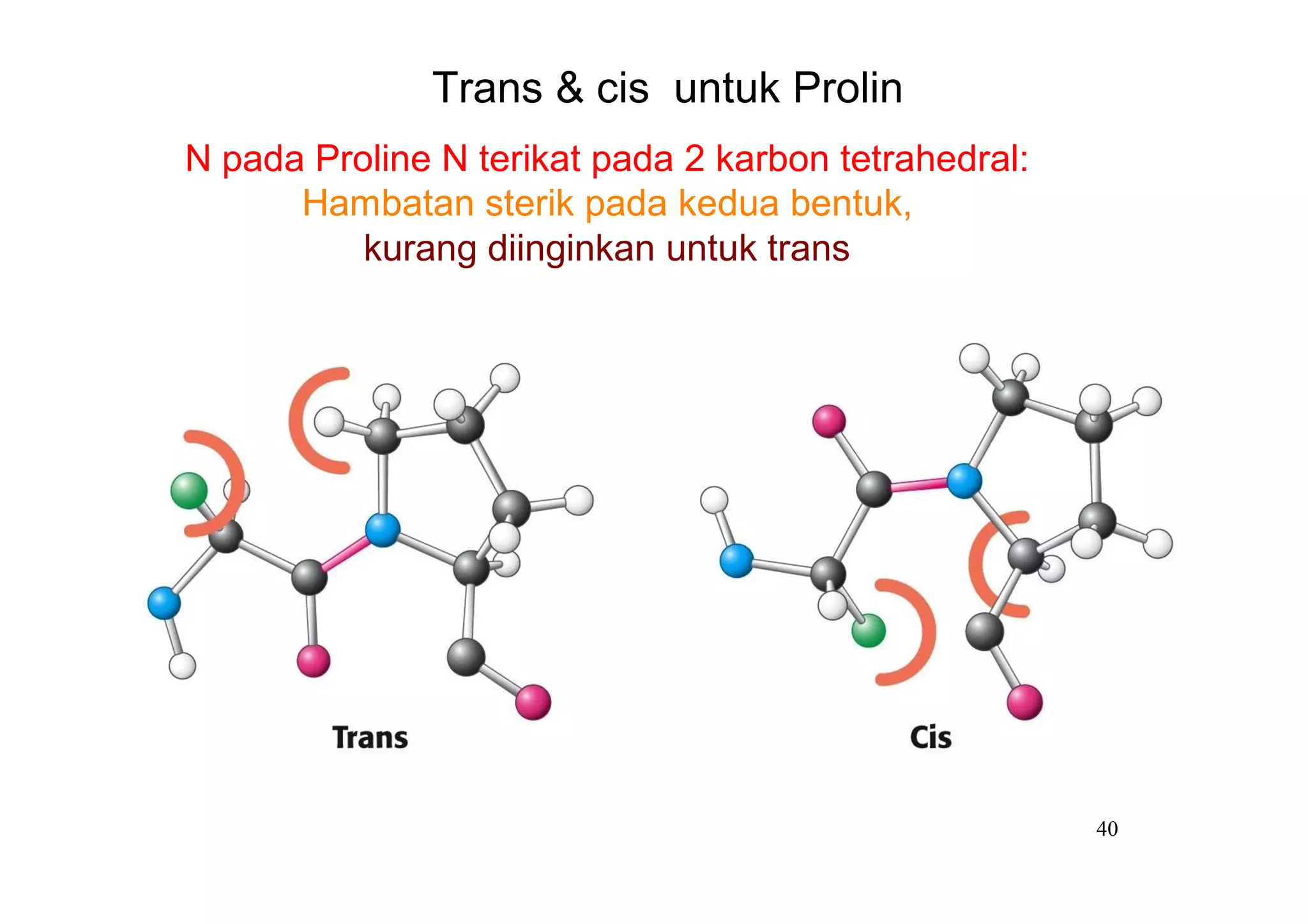Struktur Dan Fungsi Protein | PPT