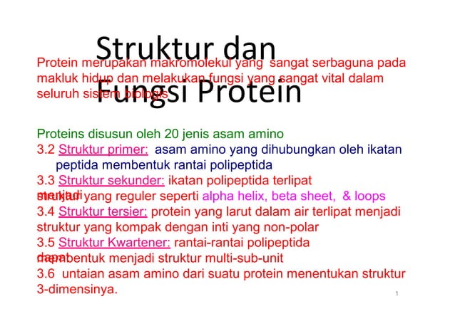 Struktur Dan Fungsi Protein | PPT