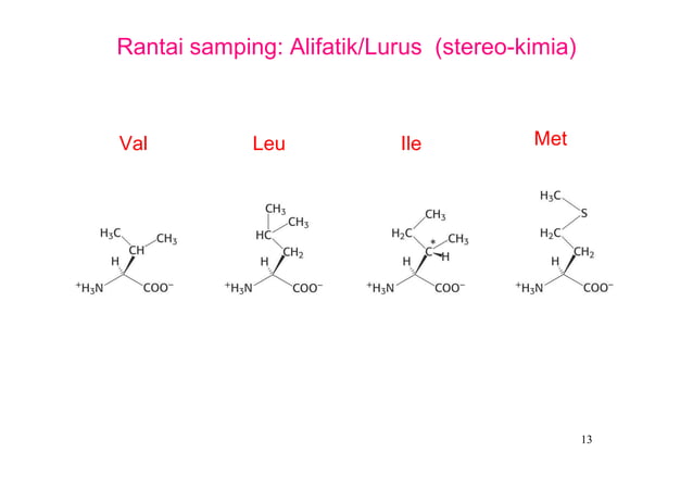Struktur Dan Fungsi Protein | PPT