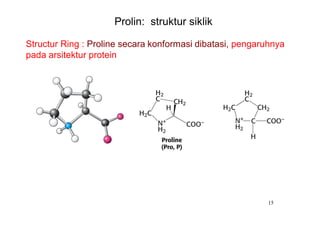 Struktur Dan Fungsi Protein | PPT