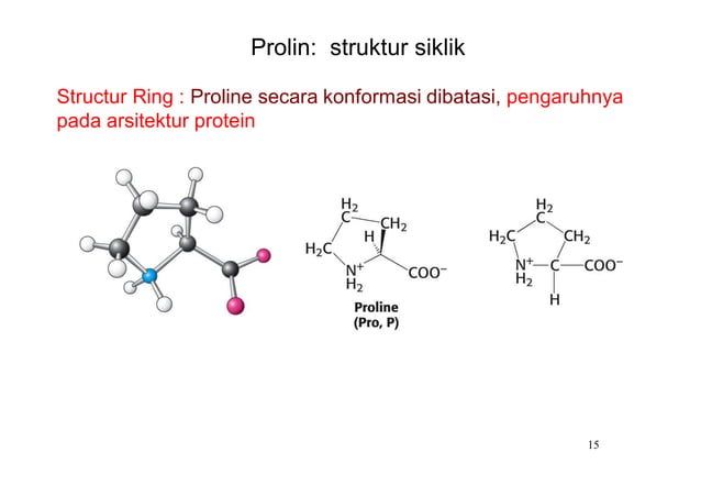 Struktur Dan Fungsi Protein | PPT