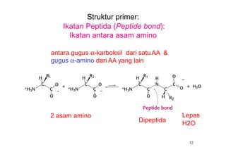 Struktur Dan Fungsi Protein | PPT