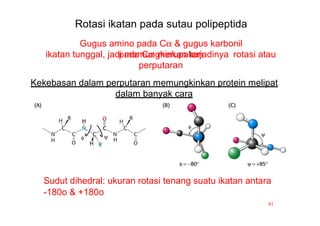 Struktur Dan Fungsi Protein | PPT
