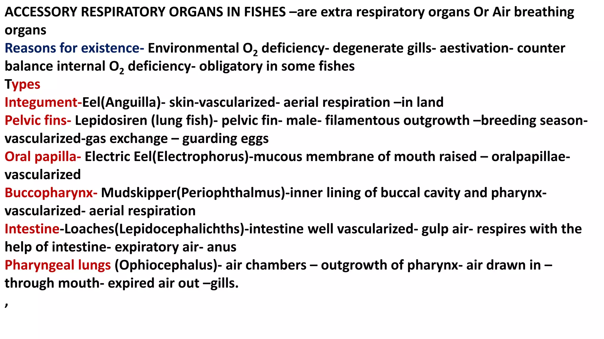 11 Accessory Respiratory organs.pptx