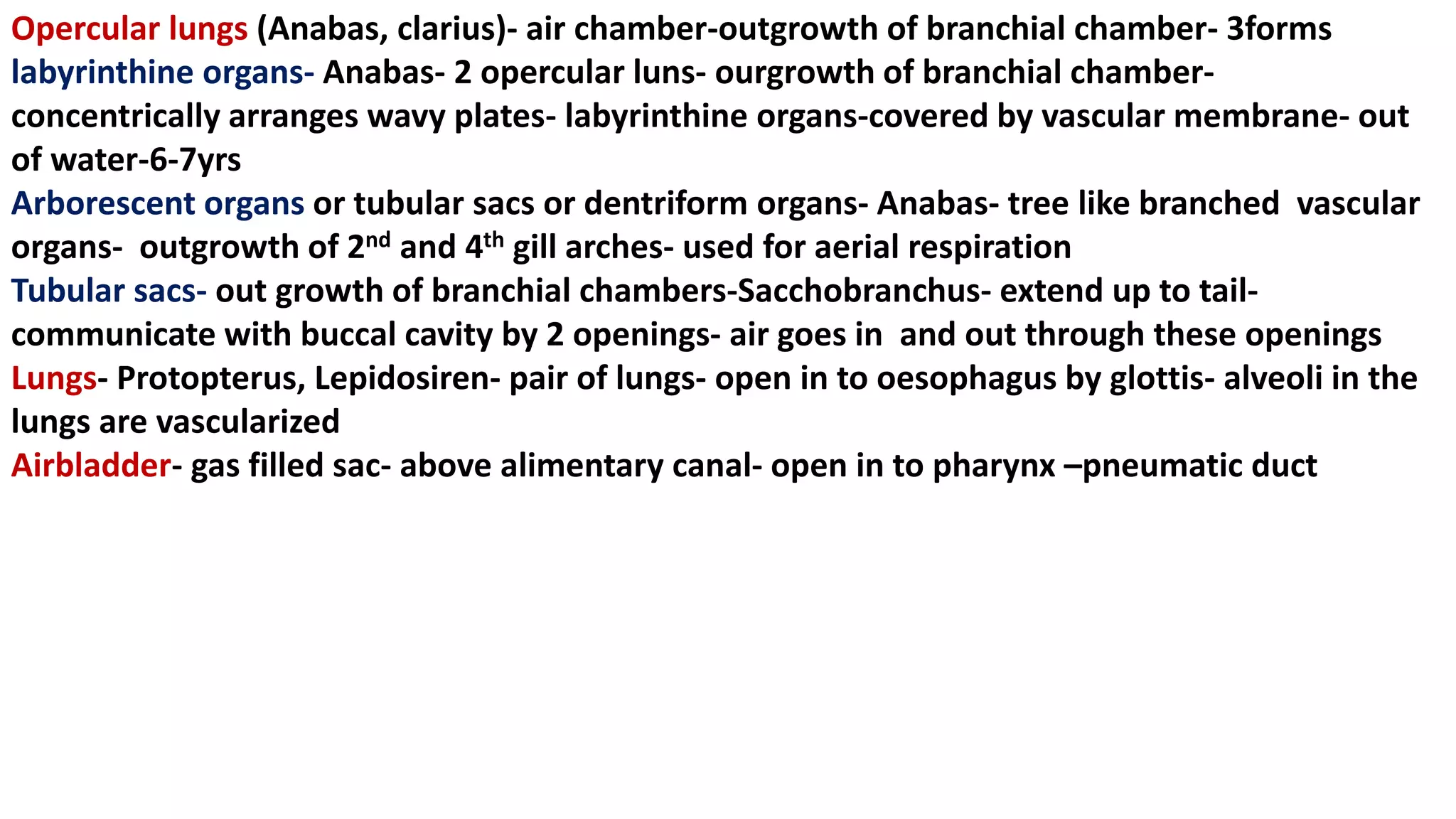 11 Accessory Respiratory organs.pptx