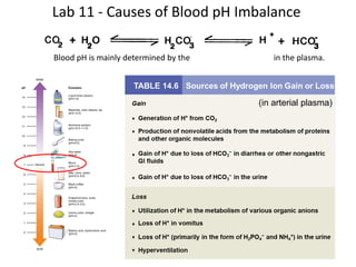 Blood pH balance | PDF