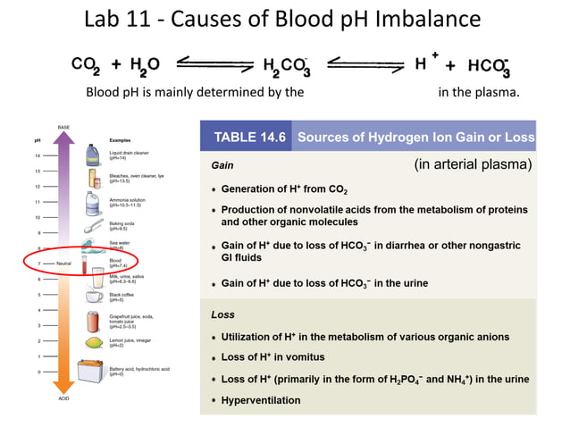 Blood pH balance | PDF