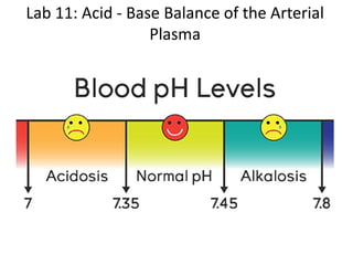 Blood pH balance | PPT