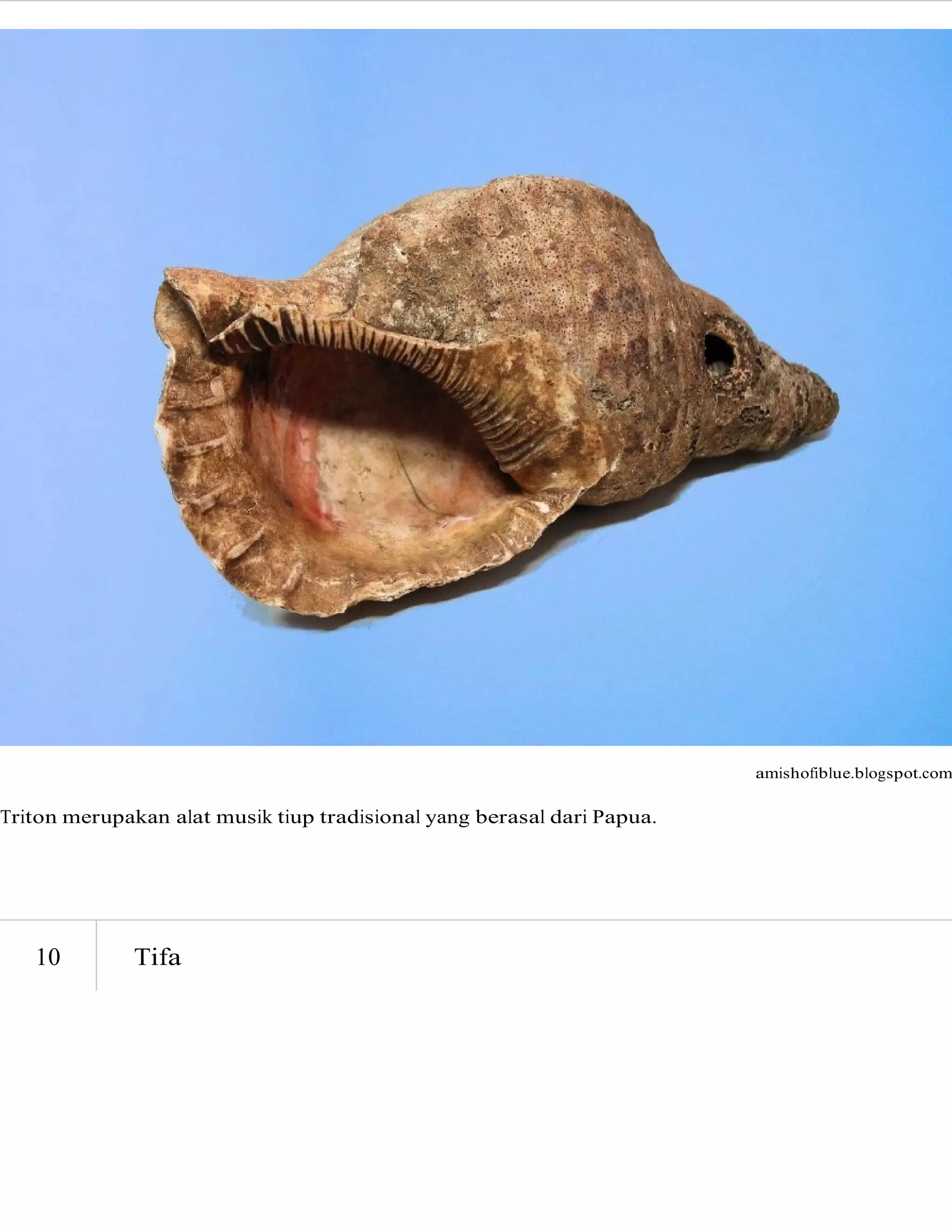 11 alat musik tradisional di indonesia beserta asal daerahnya | PDF