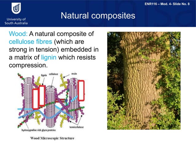 11A Particle Reinforced Composites (3.4 MB).ppt | Geology | Science