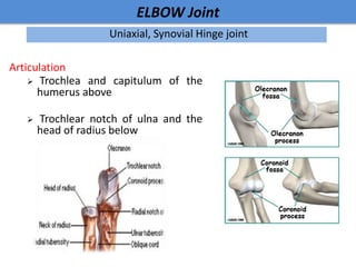 11 Arm & Elbow Joint.pptx1111111111111111111112222222222222222222 | PPT