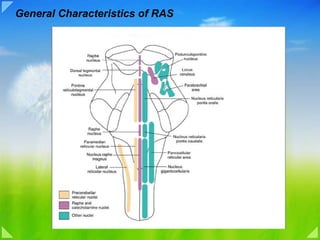 11a sleep and wakefullness | PPT
