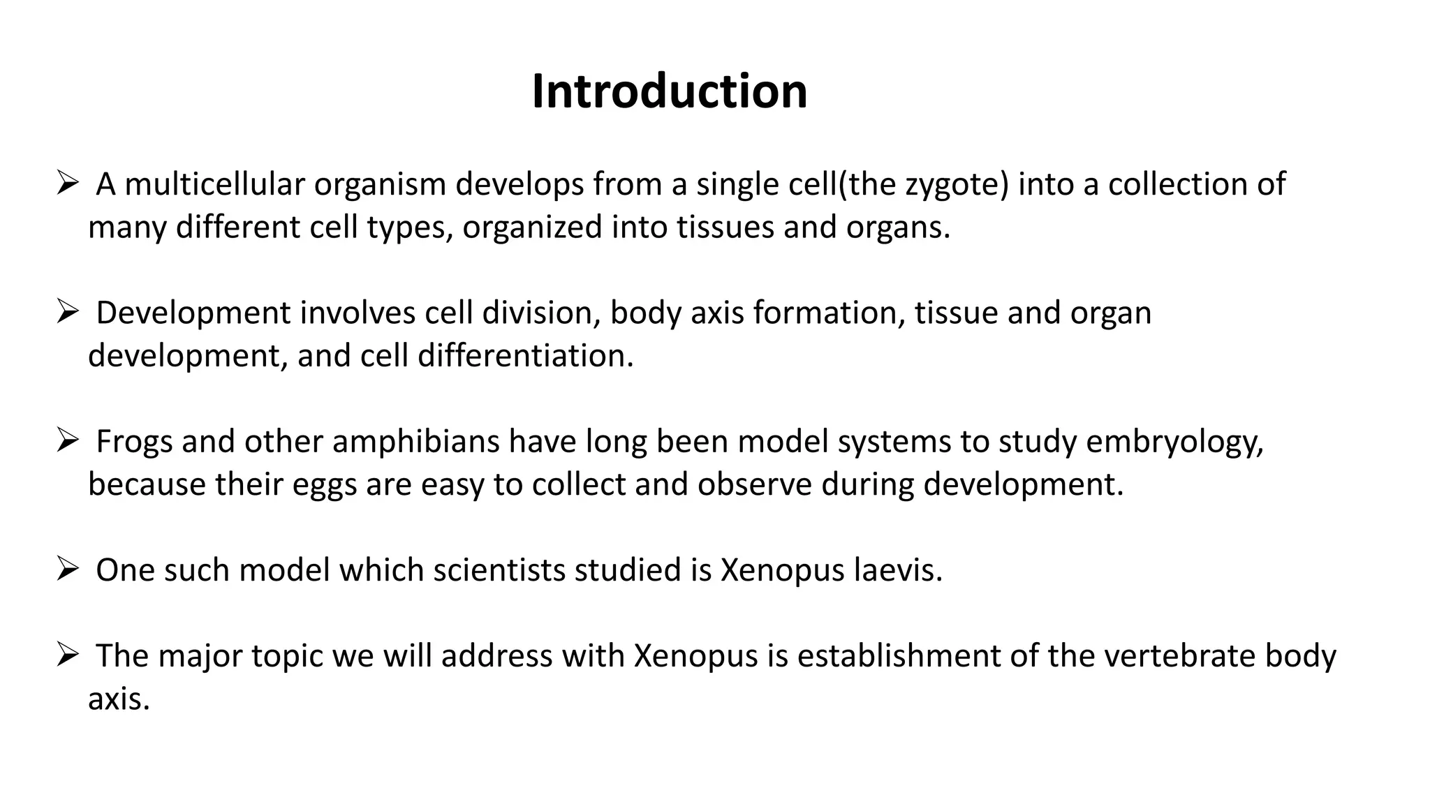 Axis and pattern formation in amphibia | PPTX