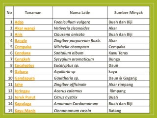 11B. Minyak atsiripada tanaman herbal dan cara sintesisnya 2022.pdf