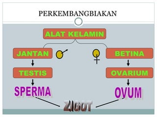 REPRODUKSI MANUSIA materi IPA kelas IX SMP | PPT