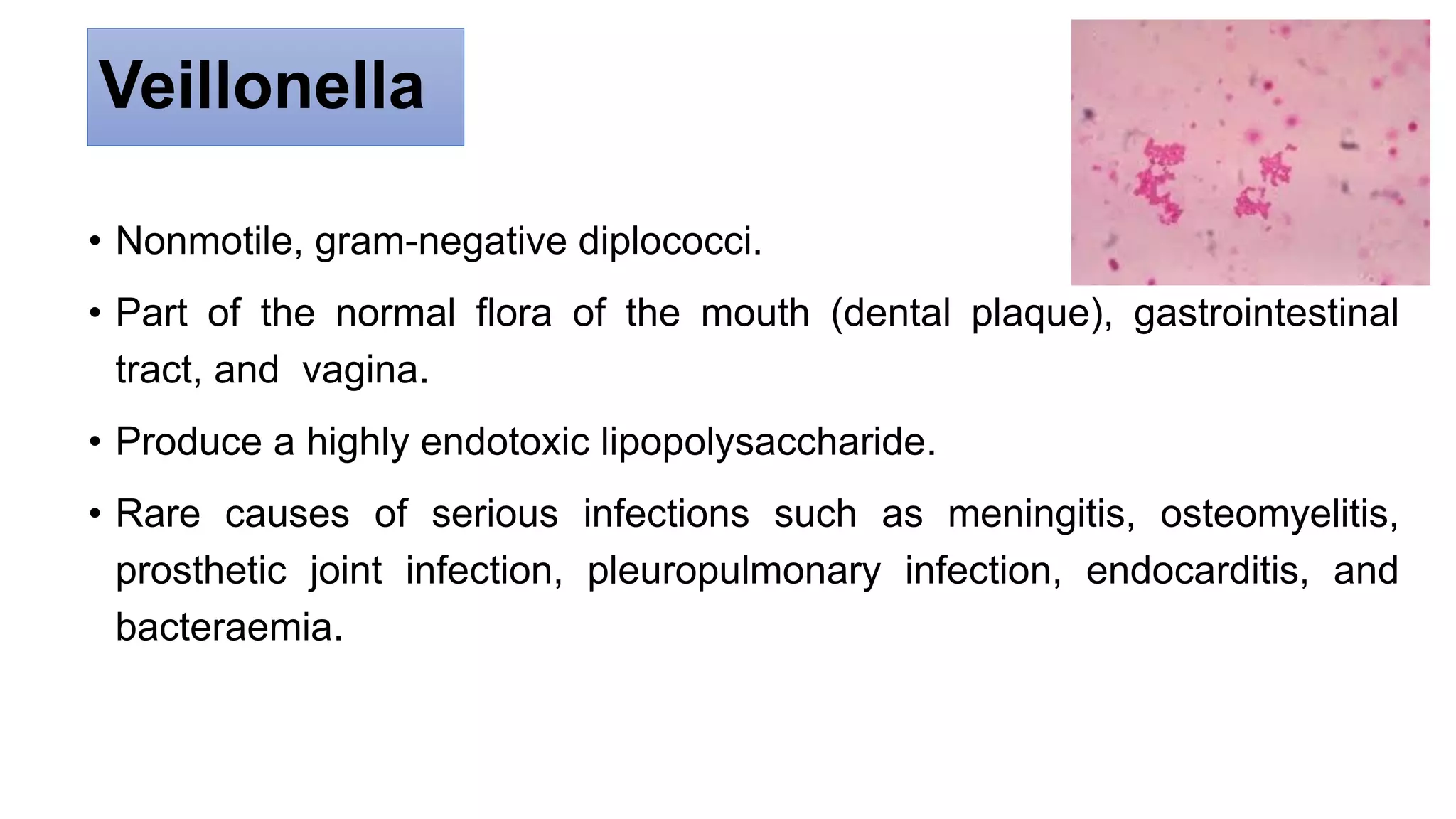 11_Bacteroides,_Fusobacterium,_Porphyromonas,_Prevotella,_Veillonella.pdf