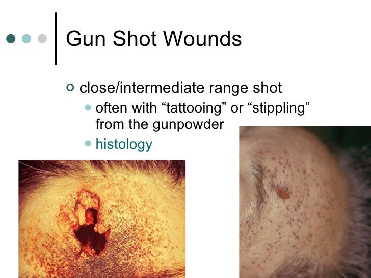 Ballistics & Toolmark Analysis