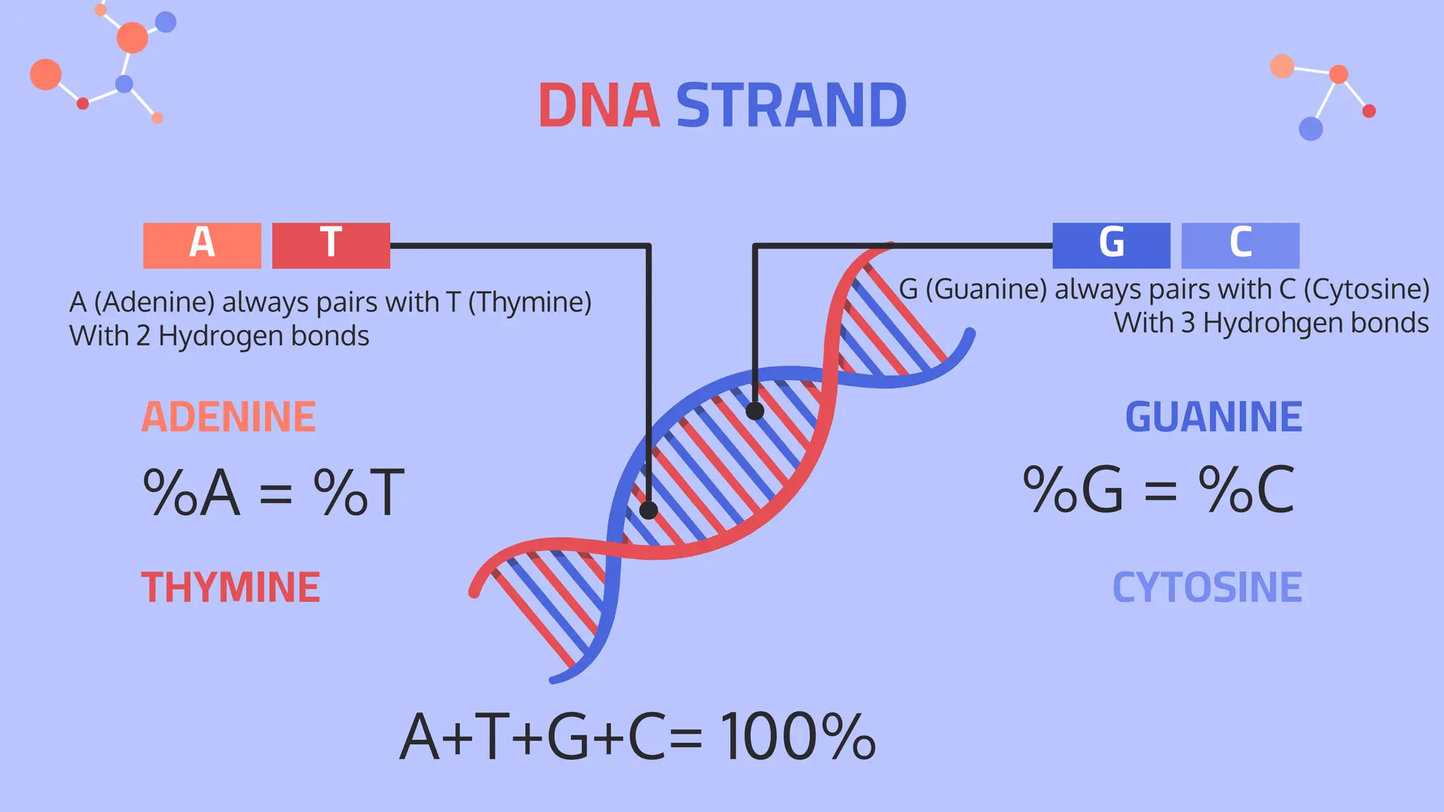Nucleic Acid DNA and RNA for High School Students.pptx